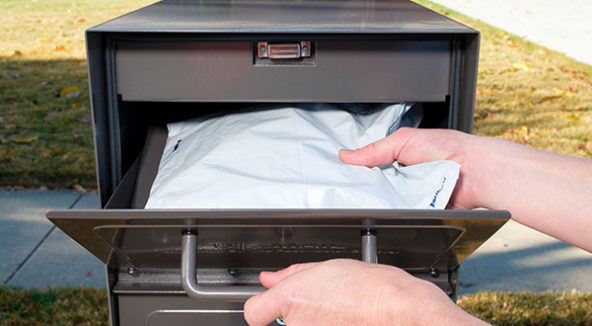 Rich Bronze Secure Curbside Locking Mailbox | MailCase